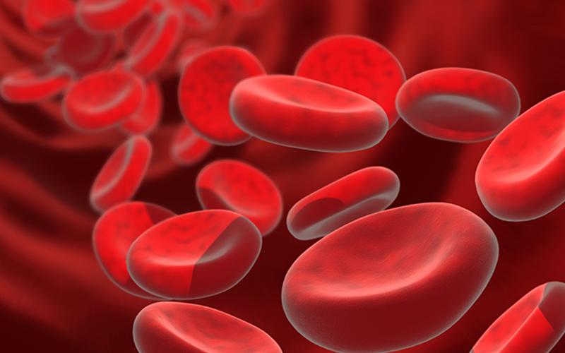 Book Hemogram CBC Test At Affordable Price/Cost With Home Collection ...